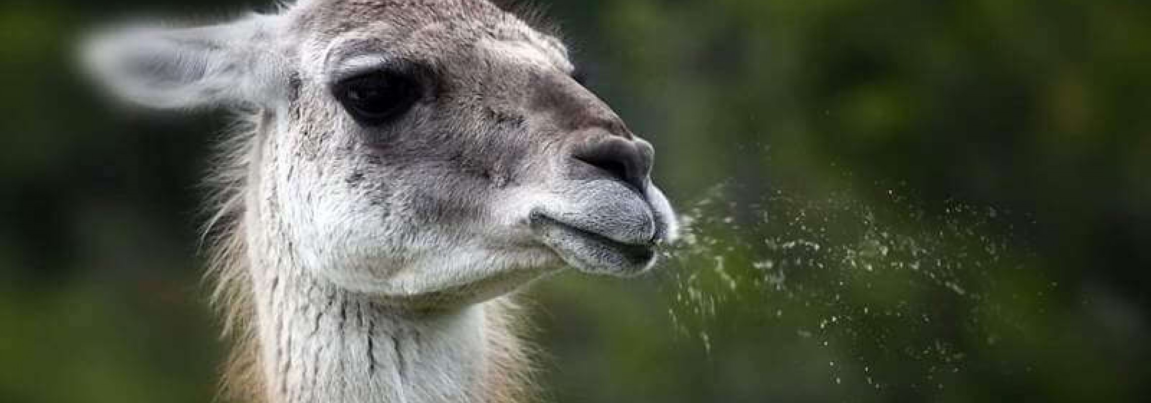 0 Comment(s) 39881 View(s)