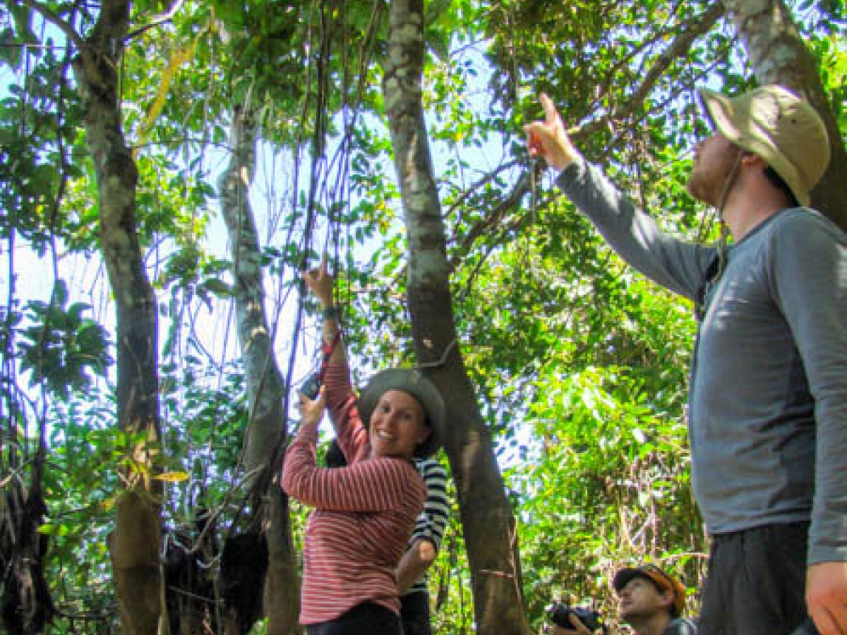 Madidi National Park 3-Day Amazon Tour - Banjo Tours